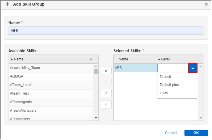 Alvaria Documentation - Create a Skill Group